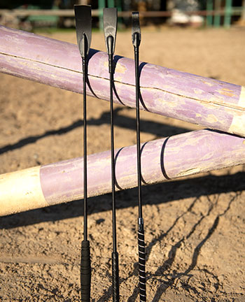 Gerten, Peitschen & Sporen für Reiter bei | kraemer.de