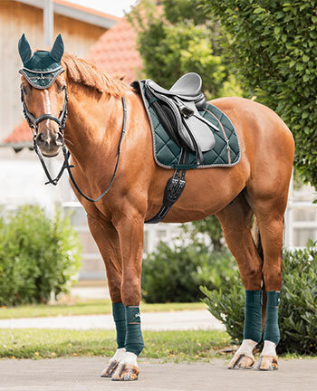 Outfits für Reiter und Pferd | kraemer.de