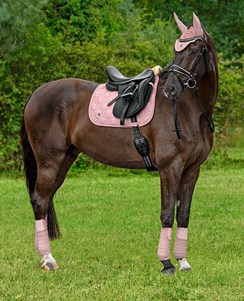 Outfits für Reiter und Pferd | kraemer.de