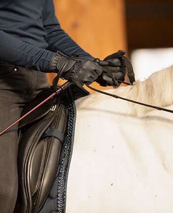 Gerten, Peitschen & Sporen im Onlineshop| kraemer.de