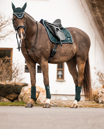 Outfits für Reiter und Pferd | kraemer.de