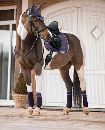 Pferdezubehör für den Reitsport online kaufen | kraemer.de