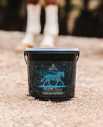 Zusatzfutter für Pferde online kaufen | kraemer.de