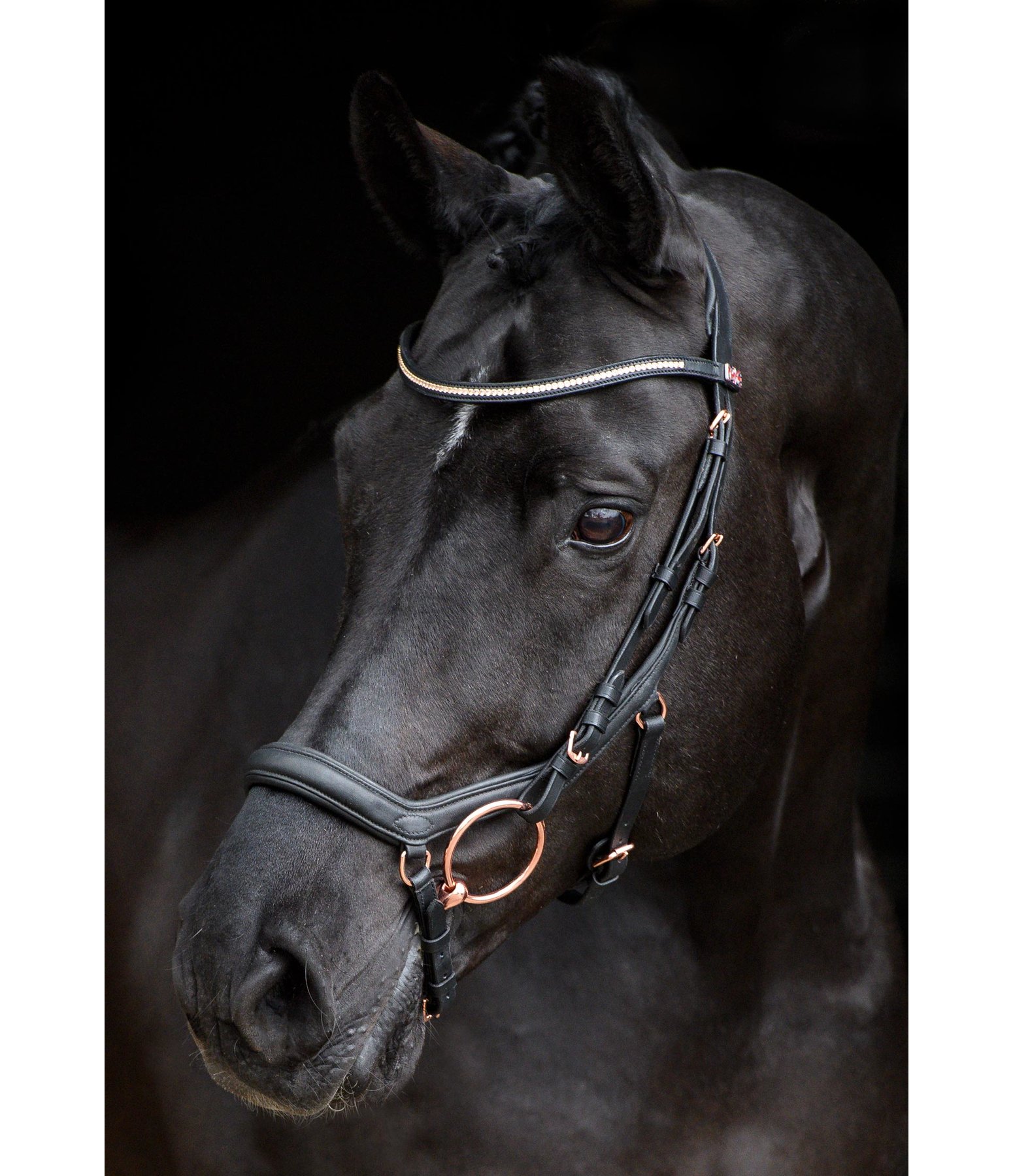 Zaum Soft & Anatomical - CLARIDGE HOUSE Trensen & Zubehör - Krämer ...