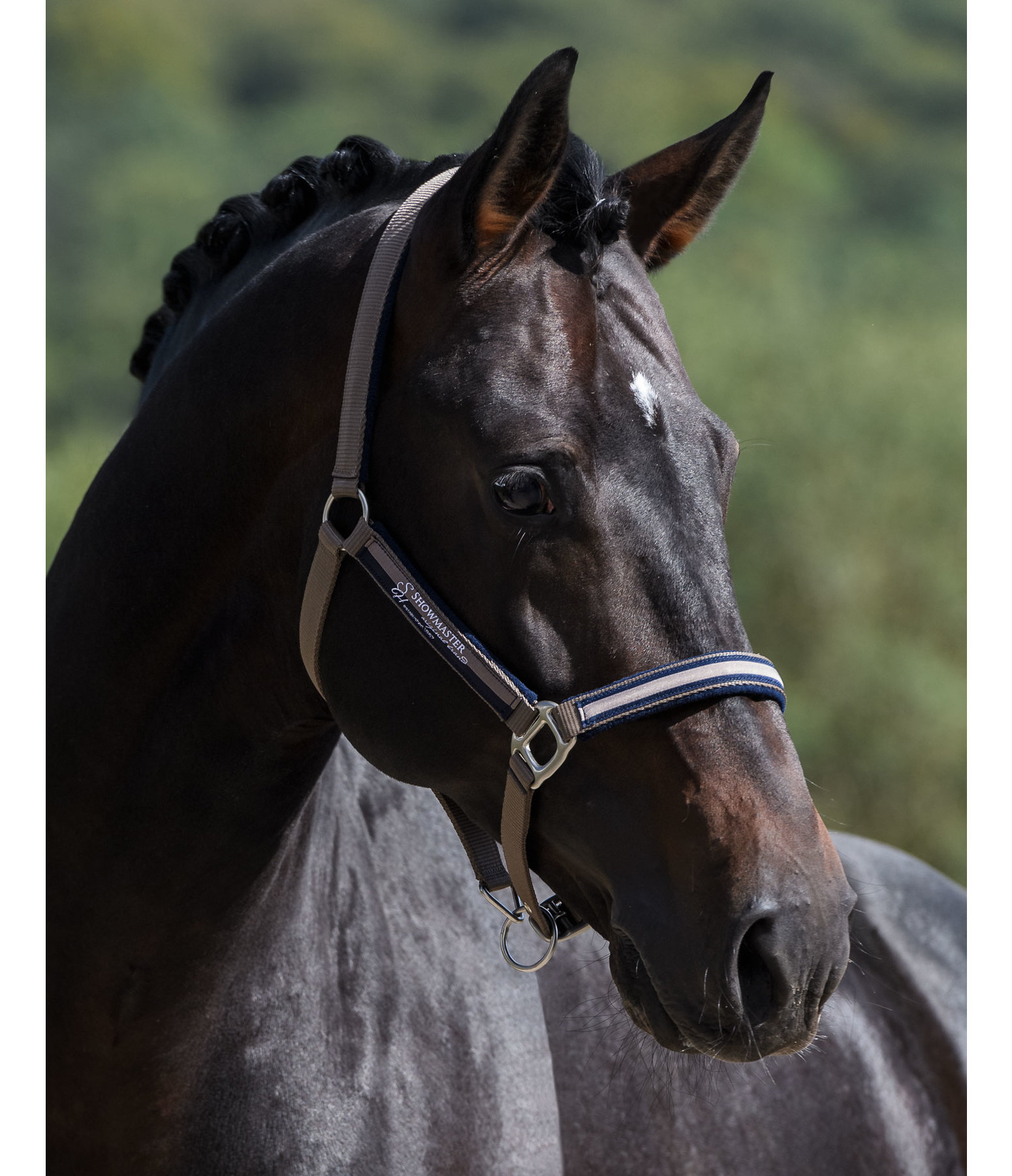 Halfter Twotone - Pony- & Fohlenhalfter - Krämer Pferdesport