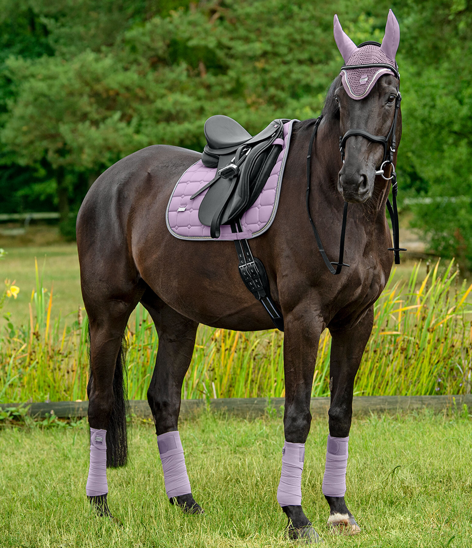 Outfit Essential in lila - Outfits für Pferde - Krämer Pferdesport