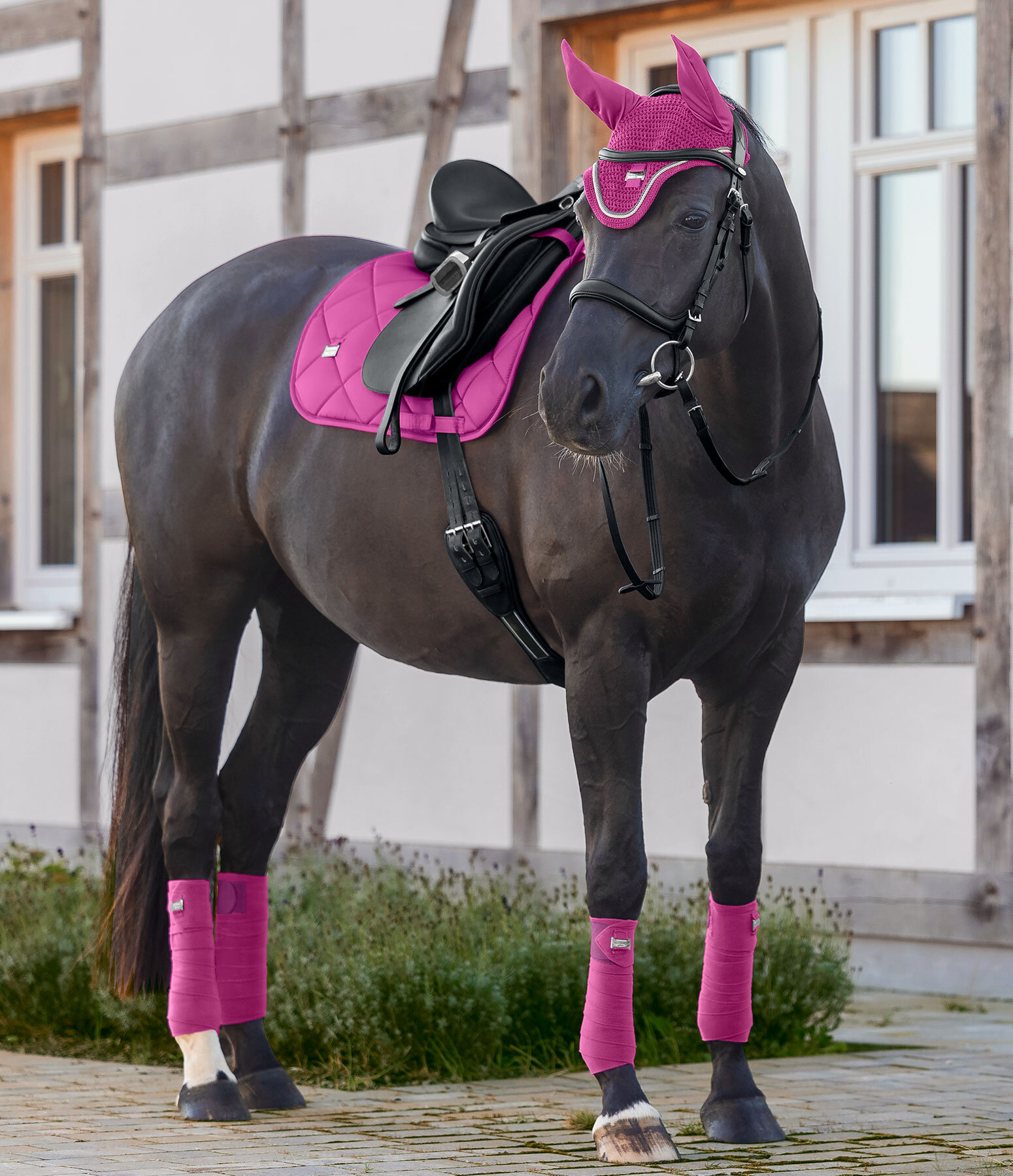 Outfit Essential in hot-pink - Outfits für Pferde - Krämer Pferdesport