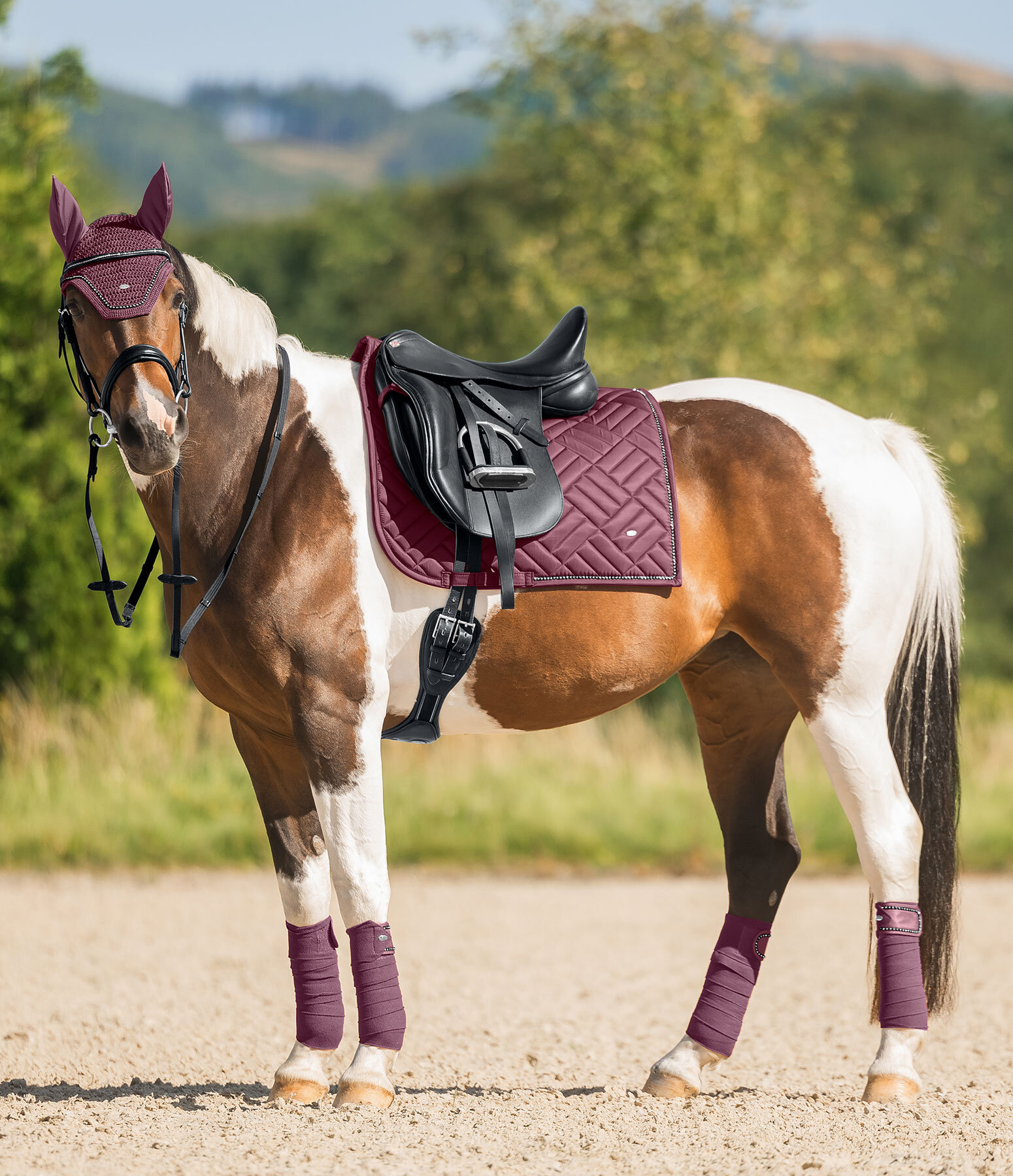 Outfit Brilliant in vintage-berry - Krämer Pferdesport