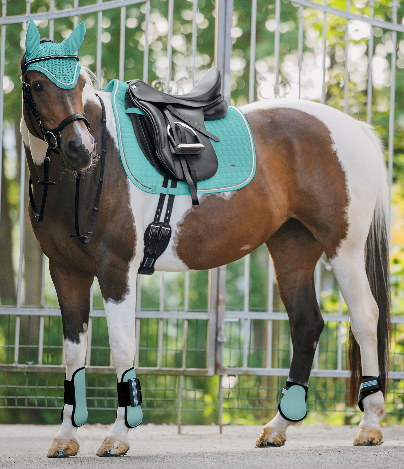 Outfit Basic Deluxe in lagune - Outfits für Pferde - Krämer Pferdesport