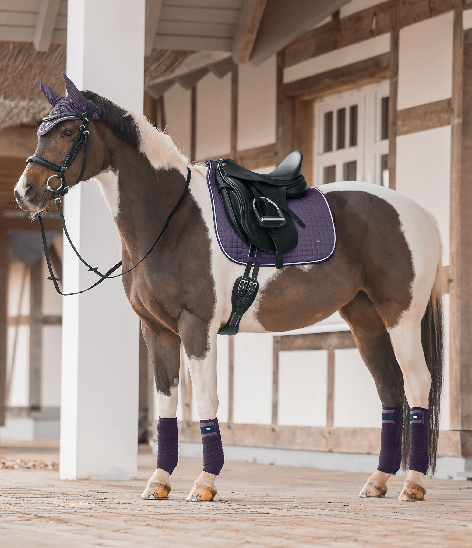 Basic in dark-violet - Outfits für Pferde - Krämer Pferdesport