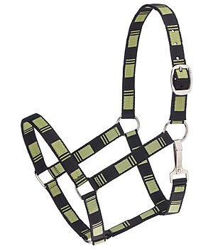 Trendige Nylonhalfter für Ihr Pferd | kraemer.de