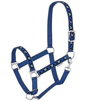 Trendige Nylonhalfter für Ihr Pferd | kraemer.de