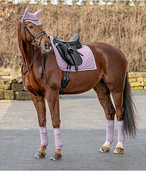 Outfits für Pferde - Outfits - Krämer Pferdesport